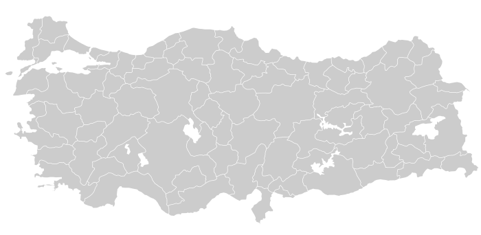 Provinces of Türkiye: Explore All 81 Regions